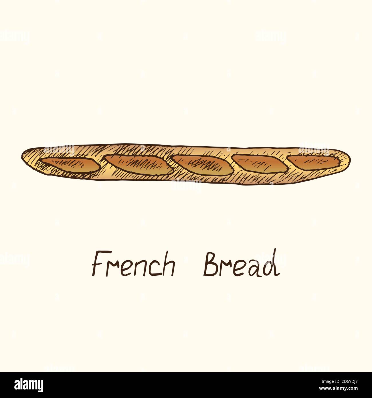 French bread, hand drawn doodle, sketch, color illustration with ...