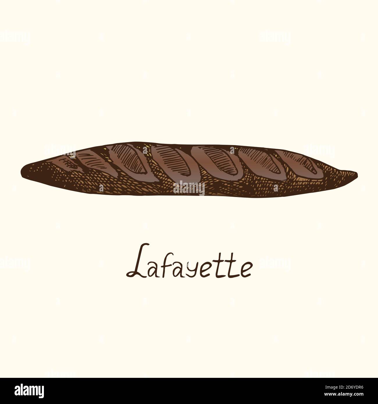 Lafayette, hand drawn doodle, sketch, color illustration with ...