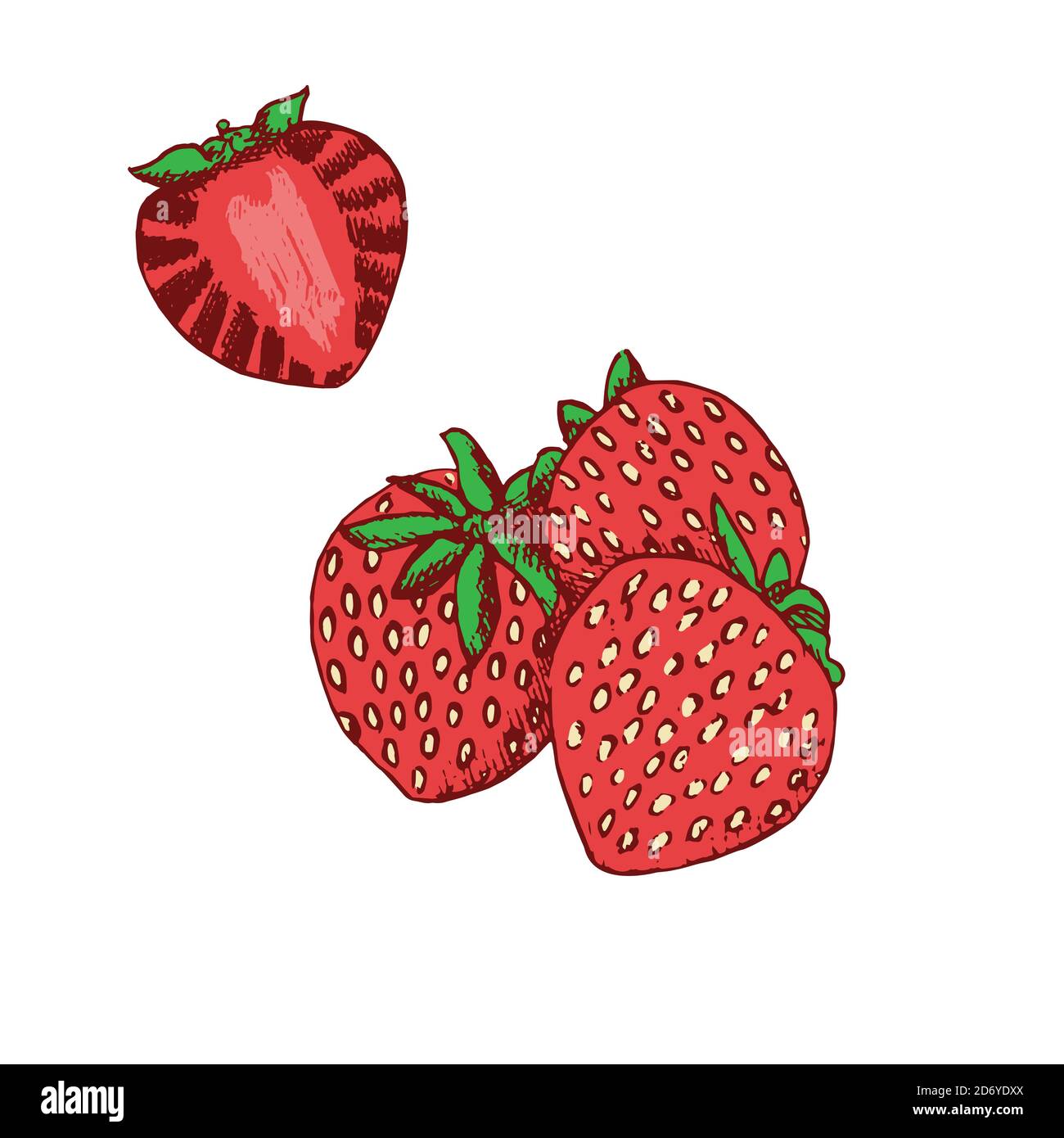 Strawberries and cut slice, hand drawn doodle, sketch, color ...
