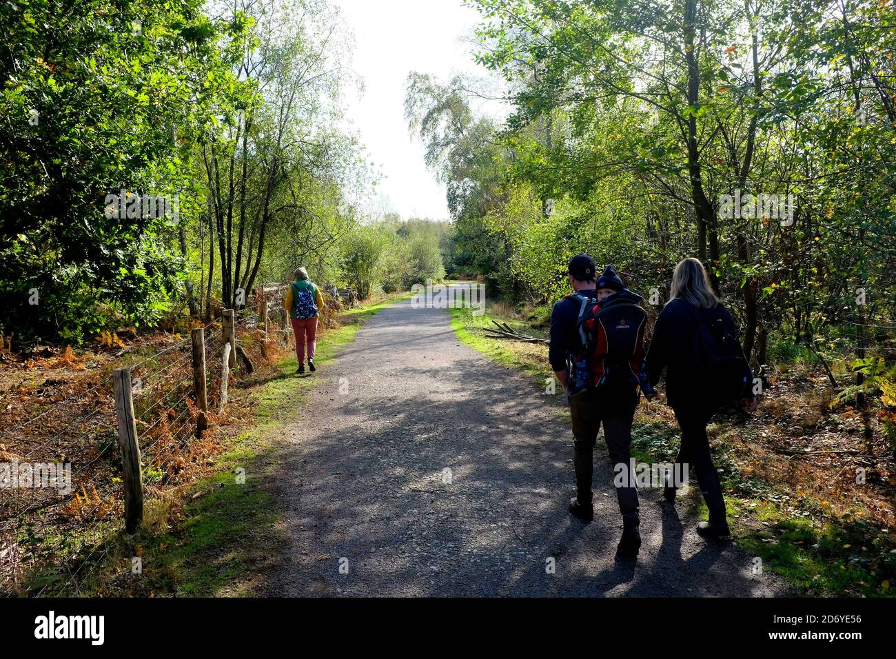 Kent wildlife trust reserve hi-res stock photography and images - Alamy