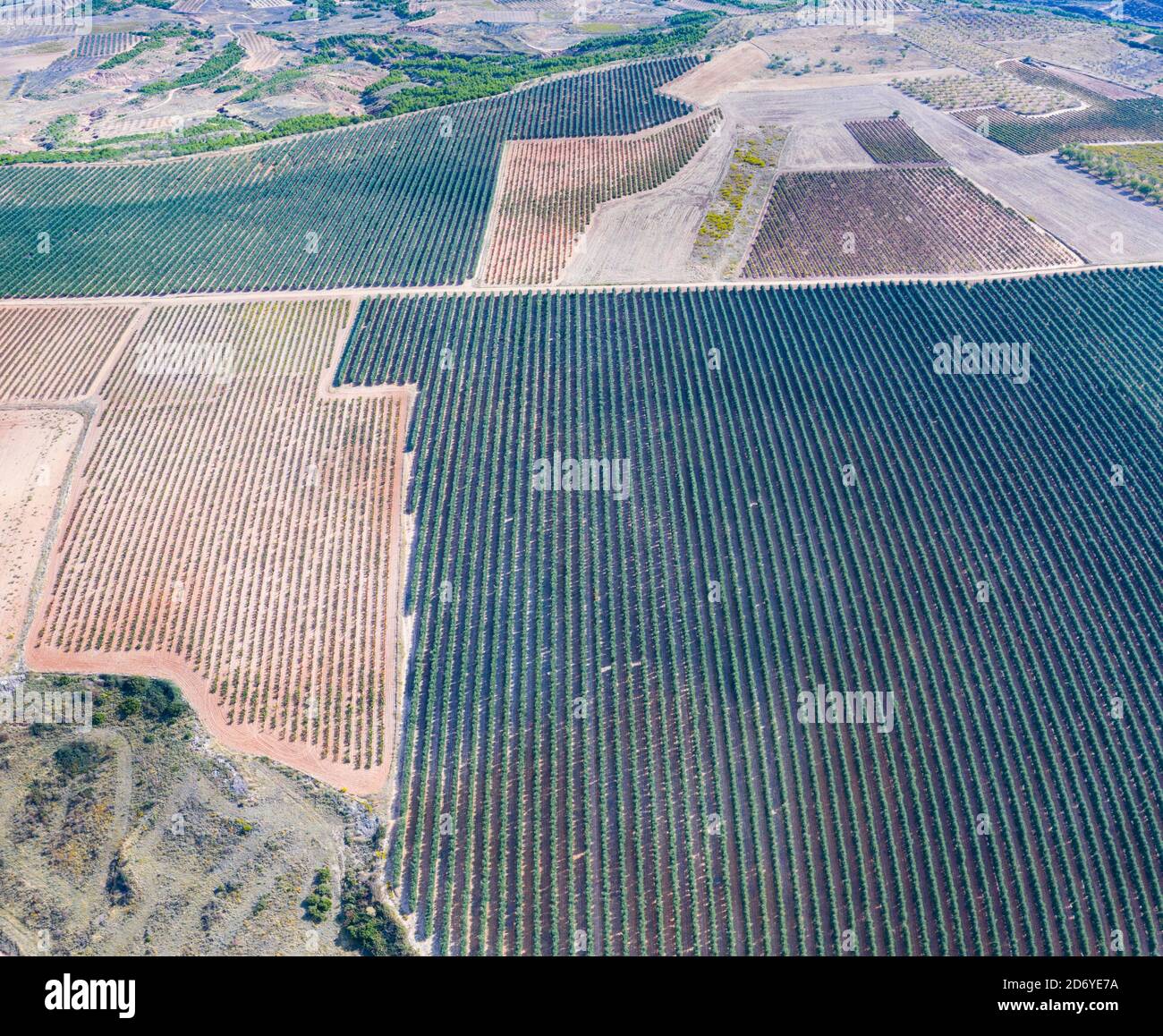 Agricultural landscape in Villar de Arnedo in the autonomous community ...