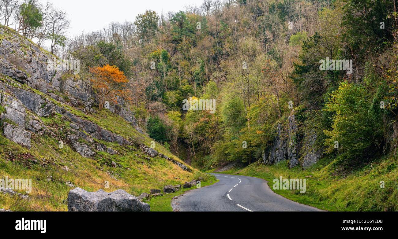Cheddar Gorge in Black Rock Nature Reserve - Cheddar in Somerset in ...