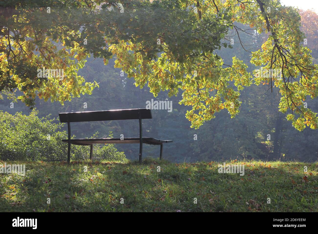 Autumn atmosphere, scenic bench in broadleaf forest park Stock Photo ...