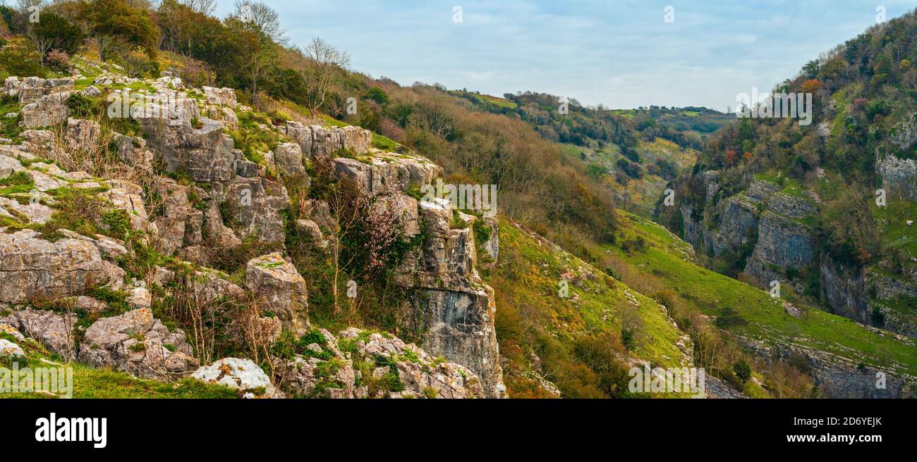 Cheddar Gorge in Black Rock Nature Reserve - Cheddar in Somerset in ...