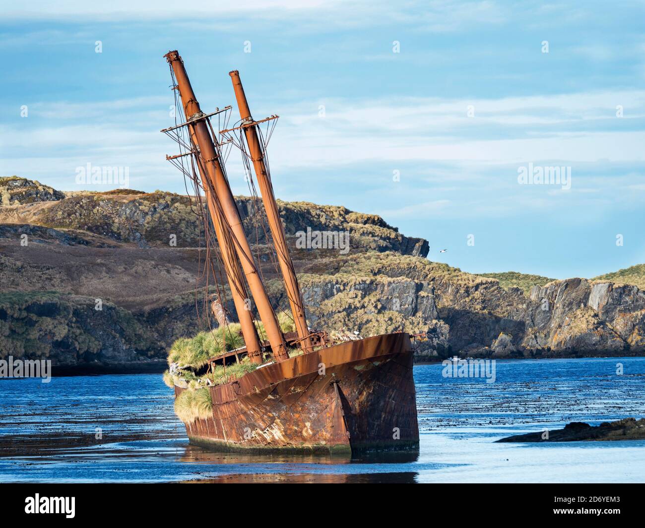 Wreck of the Bayard in Ocean Harbour a whaling station in South Georgia ...