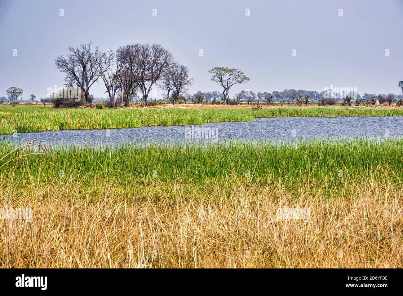 Okavango Wetlands, Okavango Delta, UNESCO World Heritage Site, Ramsar ...