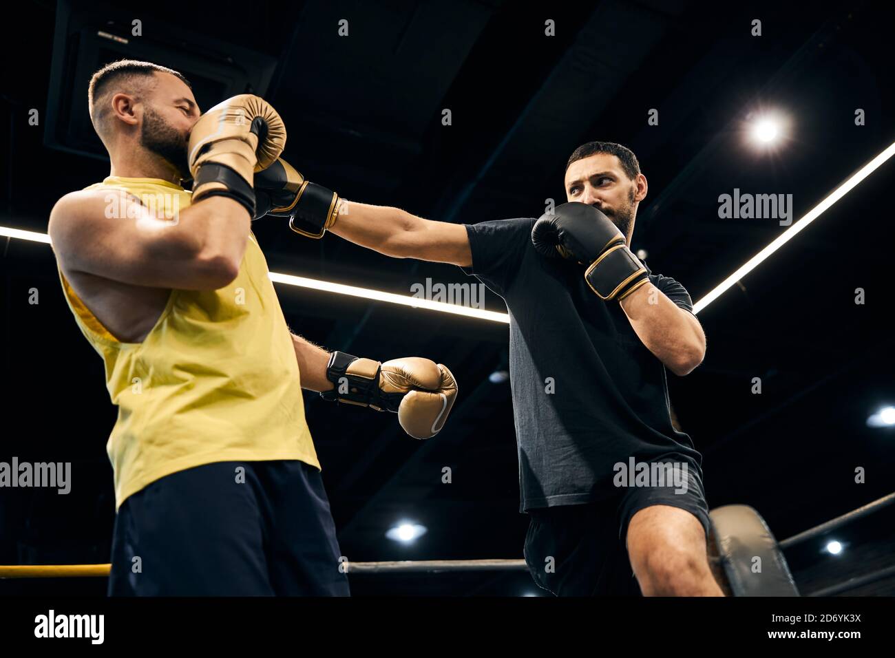Laughing boxer easily parrying a blow from his partner Stock Photo - Alamy