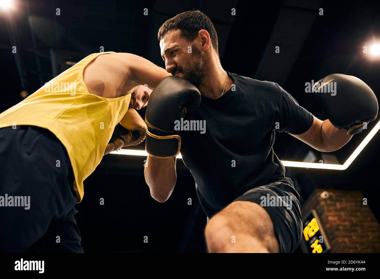 Unconscious boxer hi-res stock photography and images - Alamy