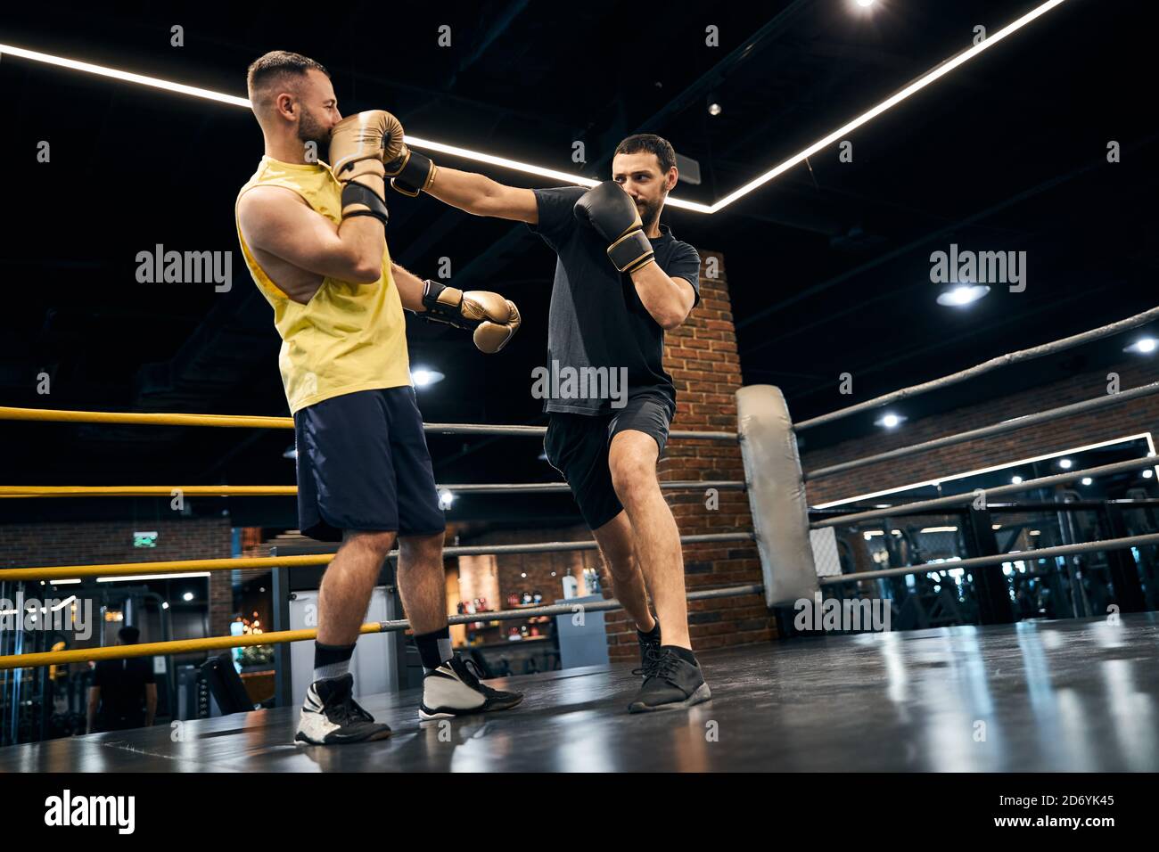 Smiling athlete blocking a hit during a boxing match Stock Photo - Alamy