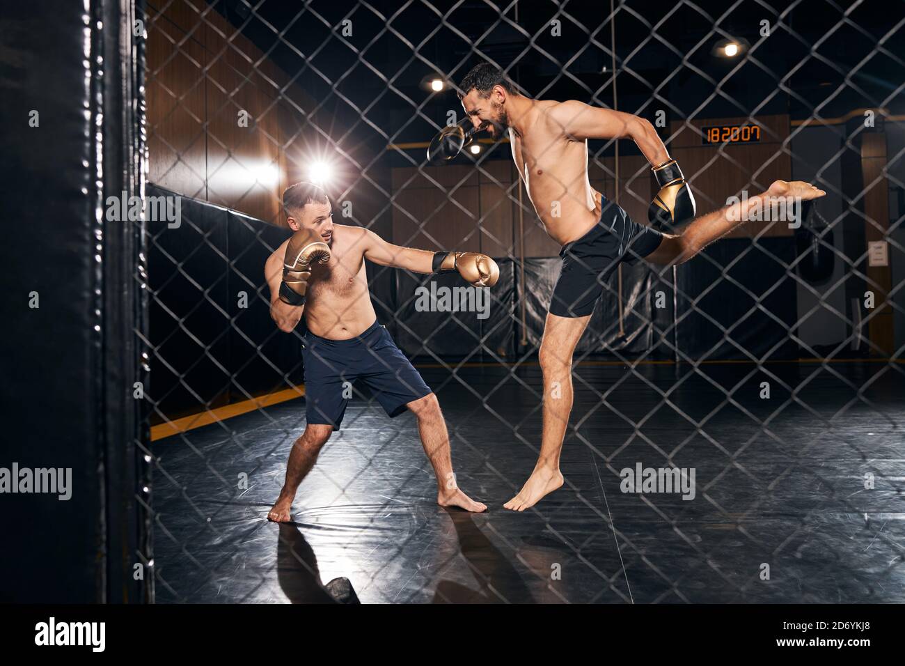 Aggressive fighter in the middle of a jump Stock Photo - Alamy