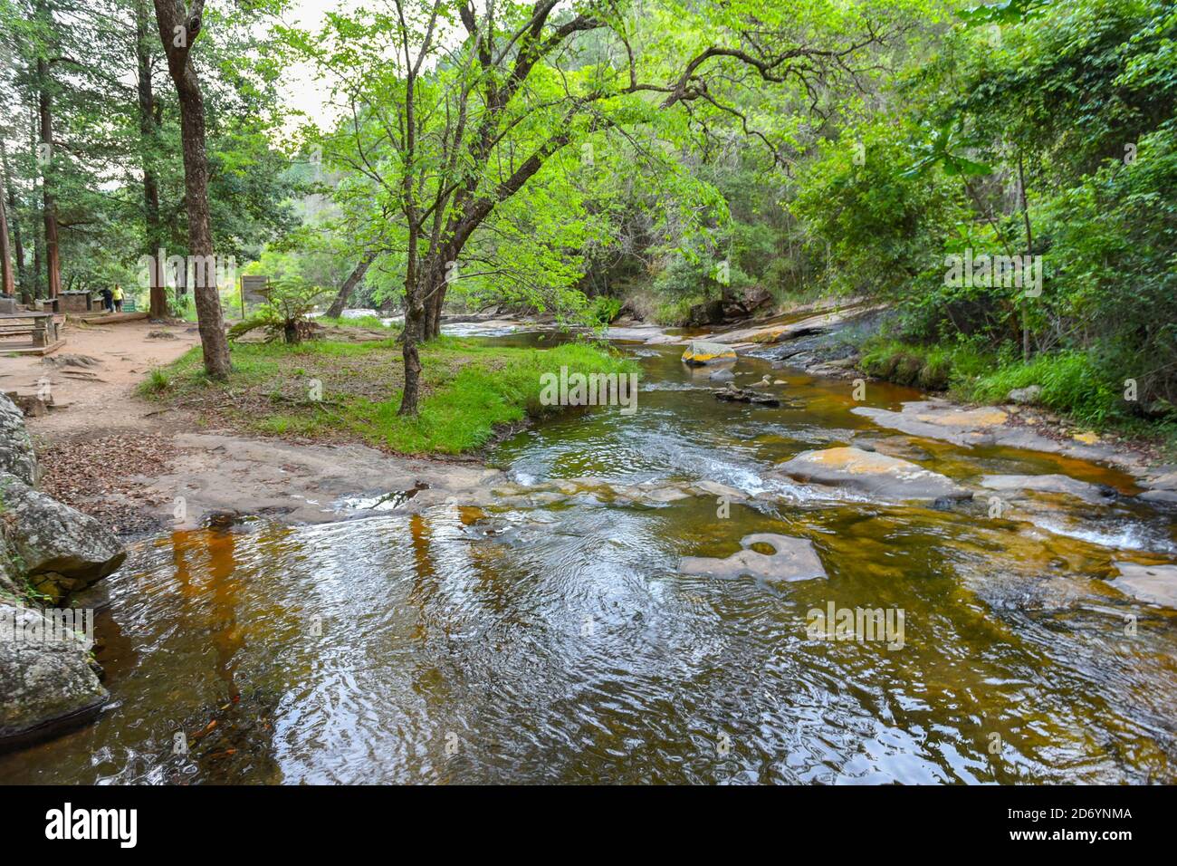 Debengeni Falls situated in Magoebaskloof, Tzaneen-South Africa Stock ...