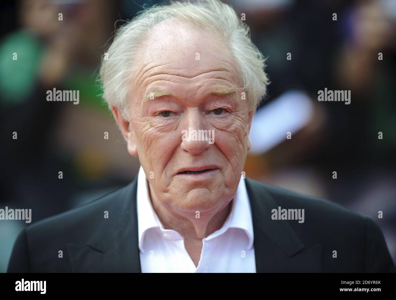 Michael gambon harry potter hi-res stock photography and images - Alamy