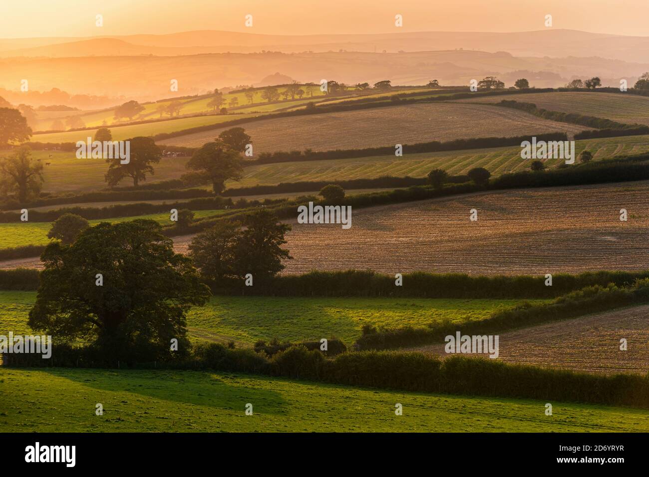 Sunset of the Fields - Berry Pomeroy Village in Devon in England in ...