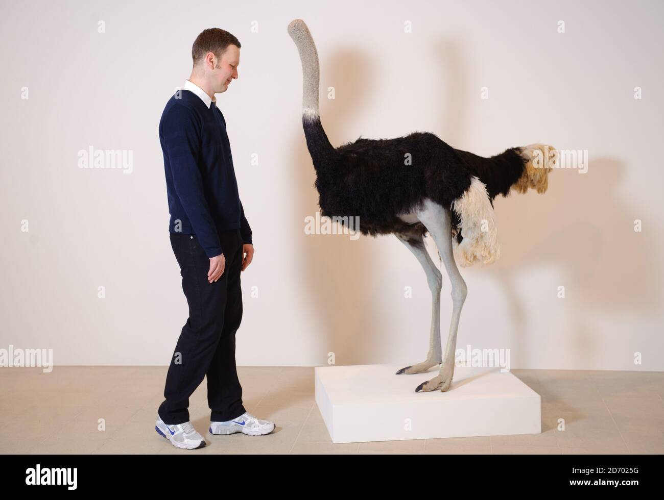 Artist David Shrigley pictured with his work Ostrich, at the Hayward ...
