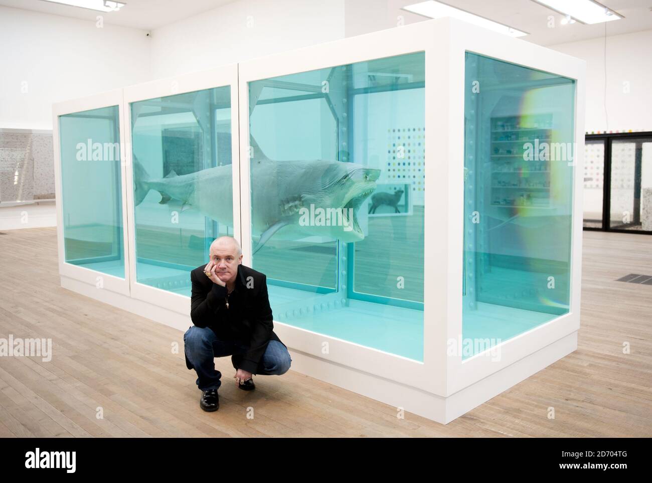 Damien hirst shark hi-res stock photography and images - Alamy
