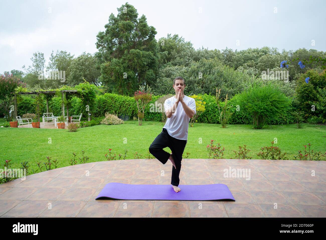 Man in vrikshasana tree hi-res stock photography and images - Alamy