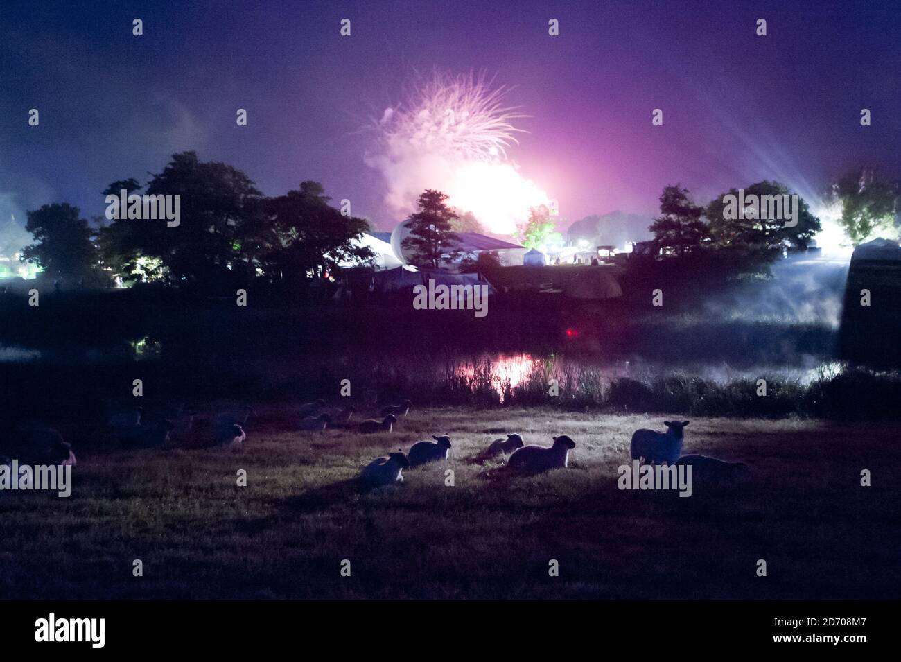 A flock of sheep admire the fireworks outside the Latitude festival in ...