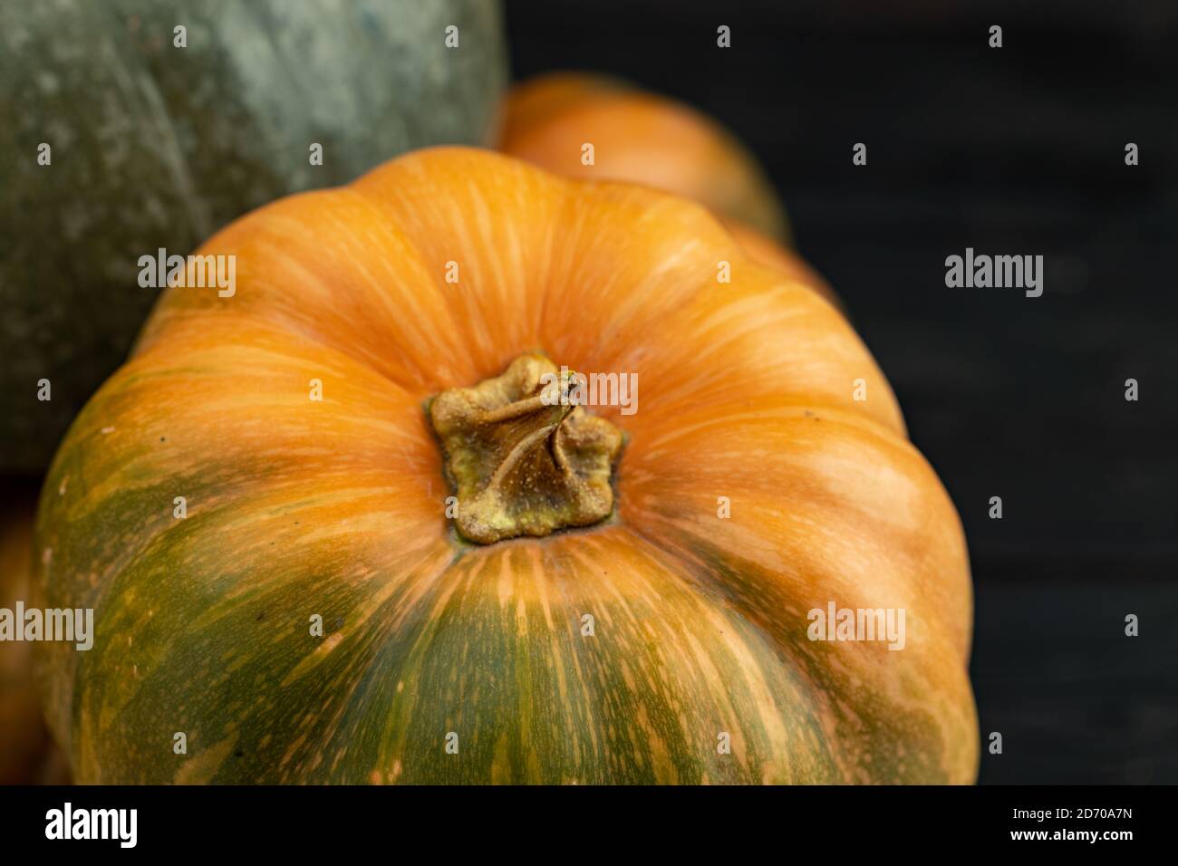 Close up photo of a pumpkin's tail Stock Photo - Alamy