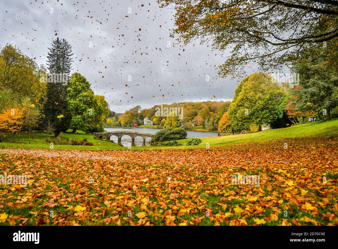 Gust of wind leaves hi-res stock photography and images - Alamy