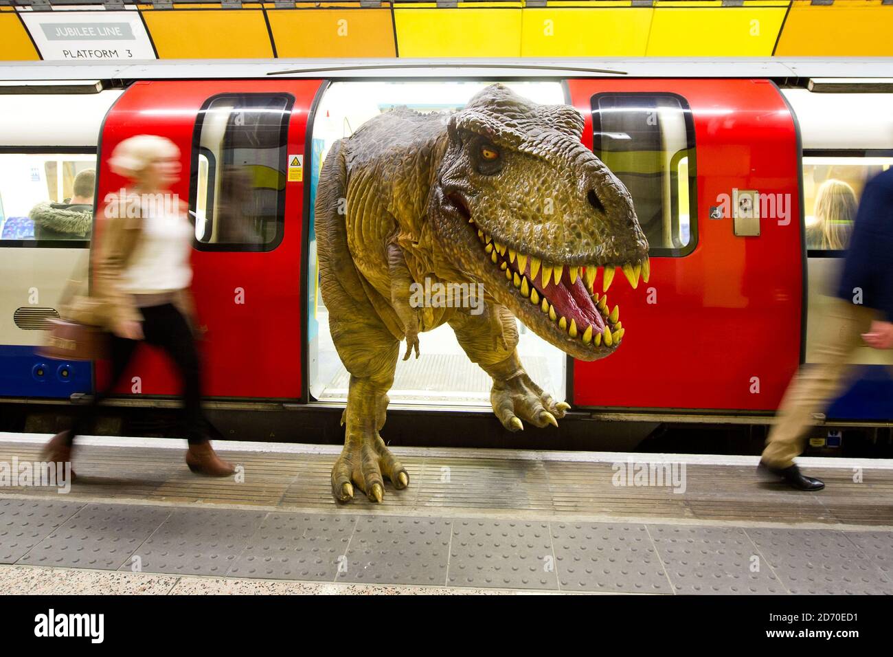 Primeval Tyrannosaurus