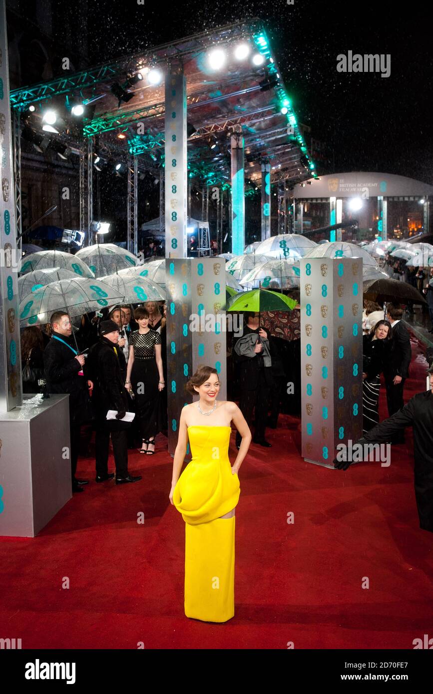 Marion Cotillard arriving at the 2013 British Academy Film Awards at ...