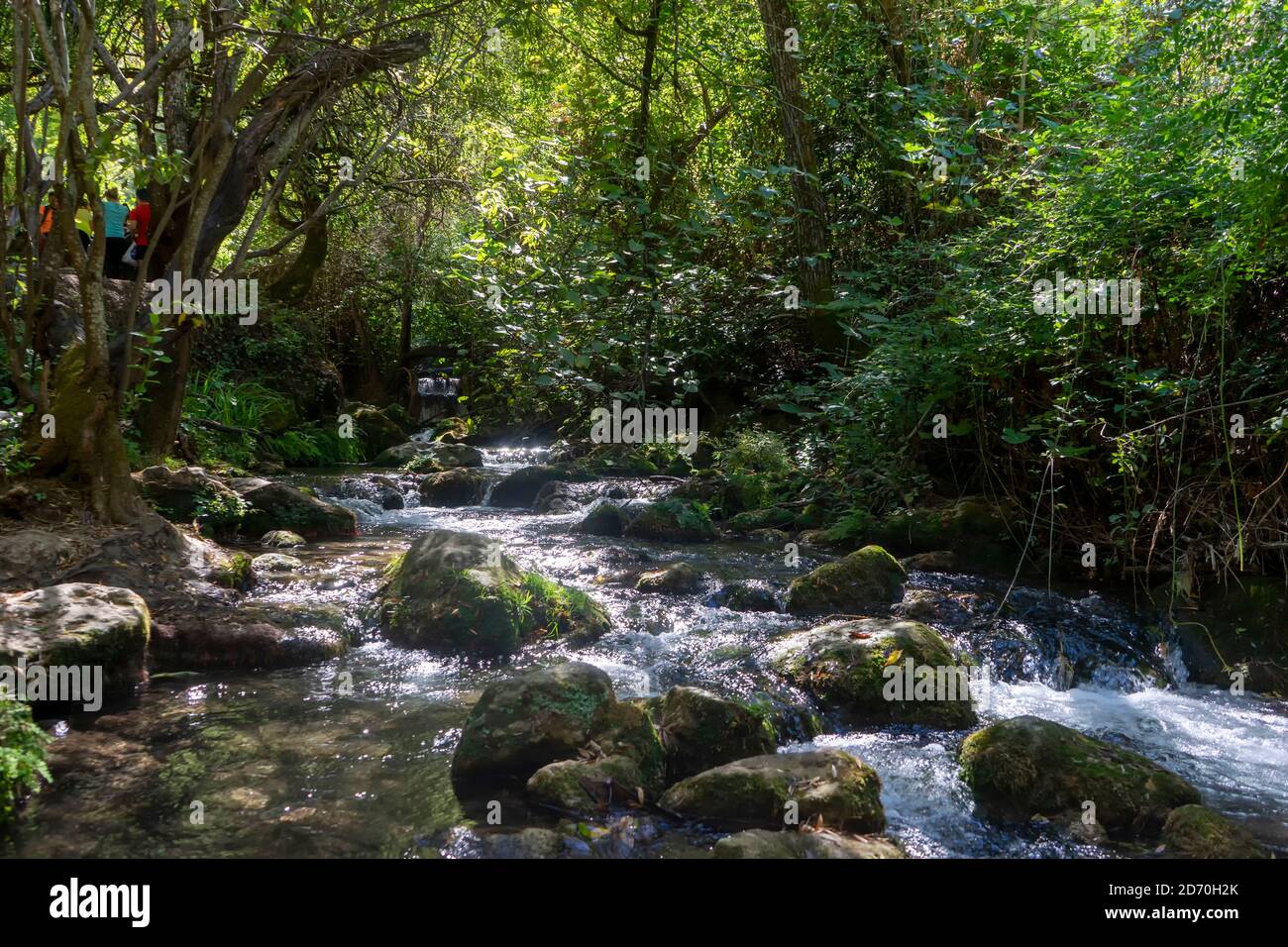 Bosque river hi-res stock photography and images - Alamy