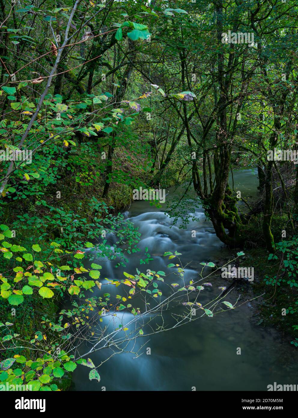 River in the Peñalandros Waterfall in the Angulo Valley of the Mena ...
