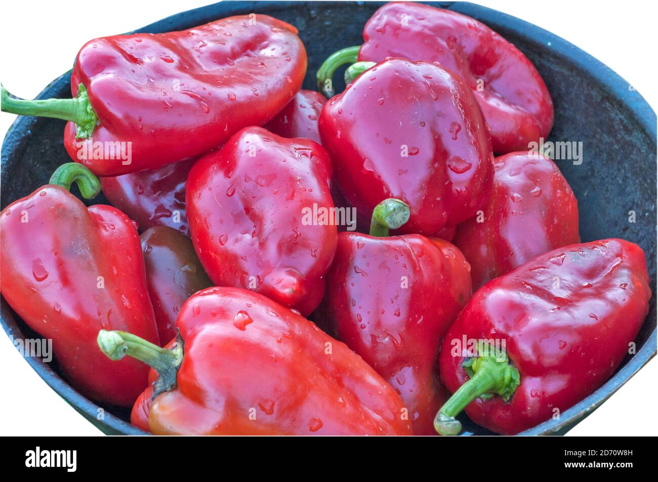 Fresh red wet organic peppers closeup as raw food background isolated ...
