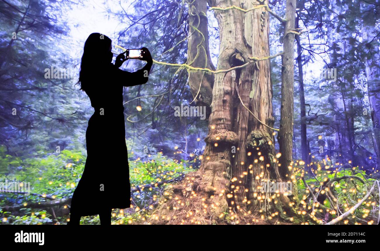 Gallery employee Millie Carroll takes a photograph of art installation ...