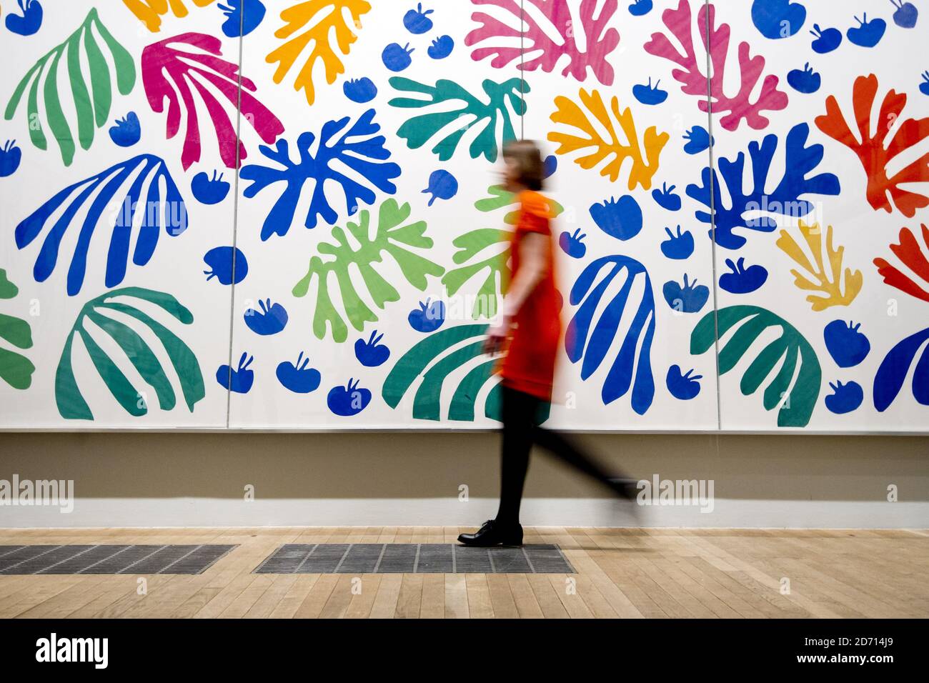 Henri Matisse Cut Outs