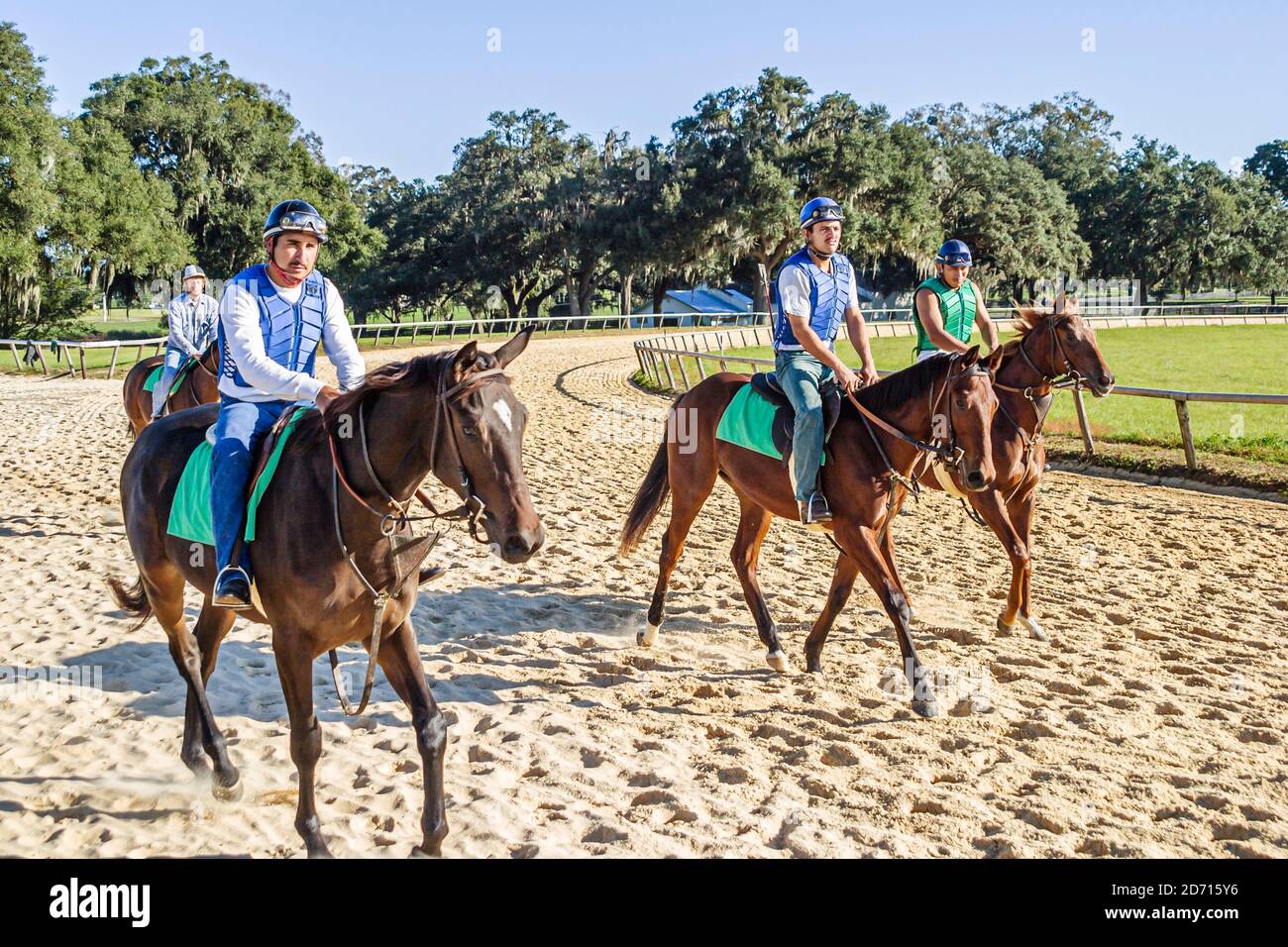 Racehorse Training High Resolution Stock Photography and Images - Alamy
