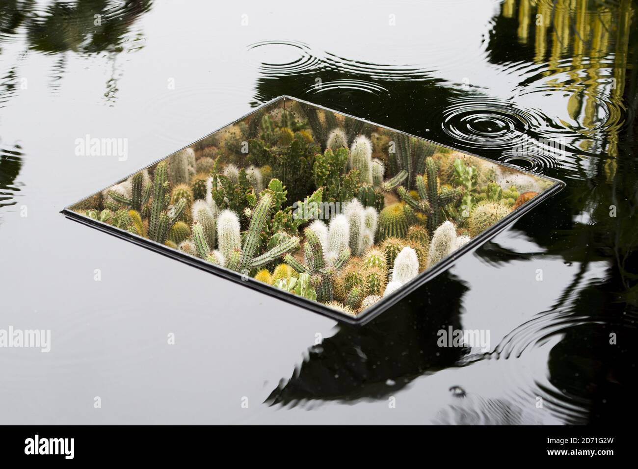 Details of the Schellevis's Dutch Chocolate stand at the 2015 RHS ...