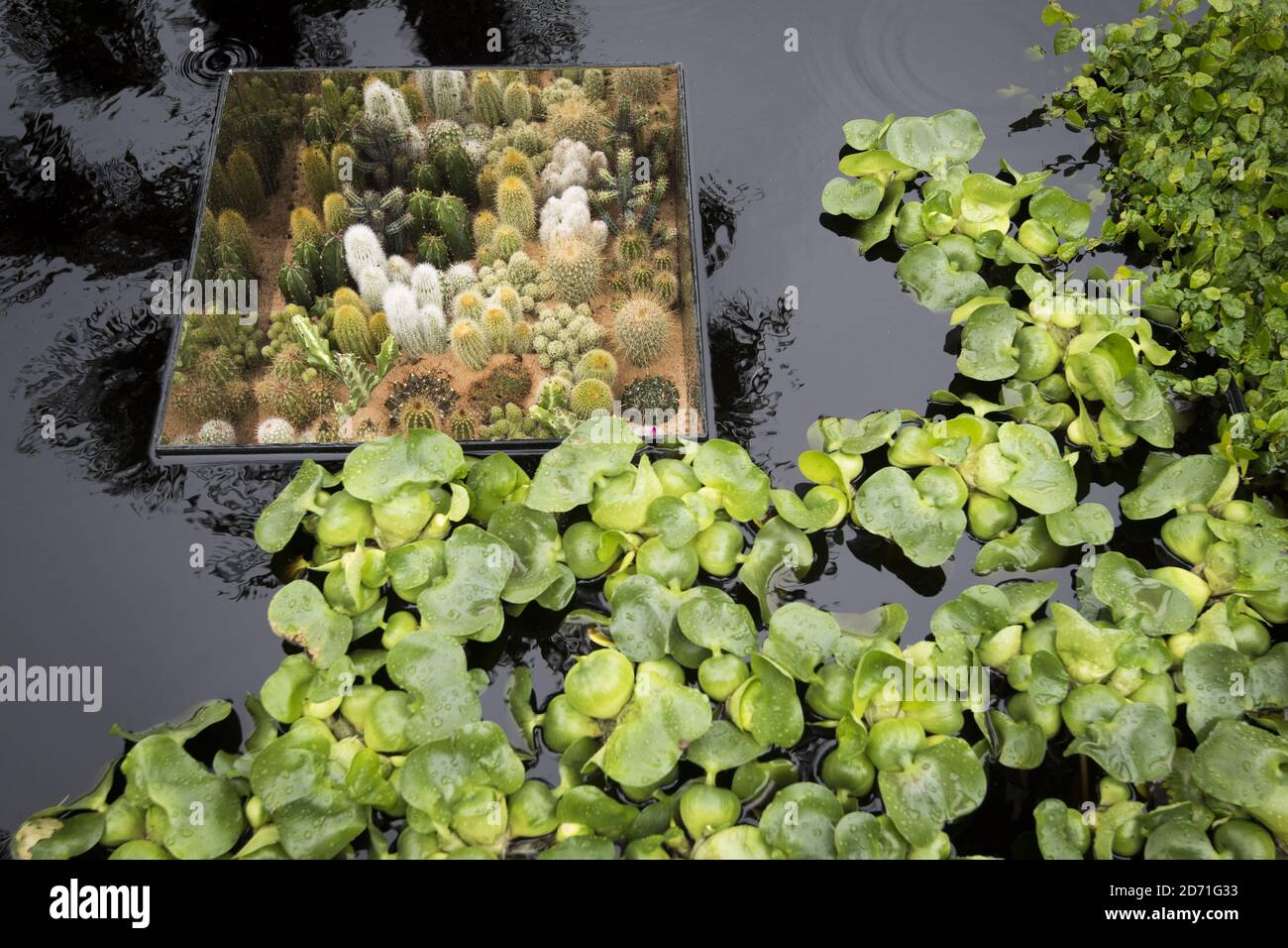 Details of the Schellevis's Dutch Chocolate stand at the 2015 RHS ...