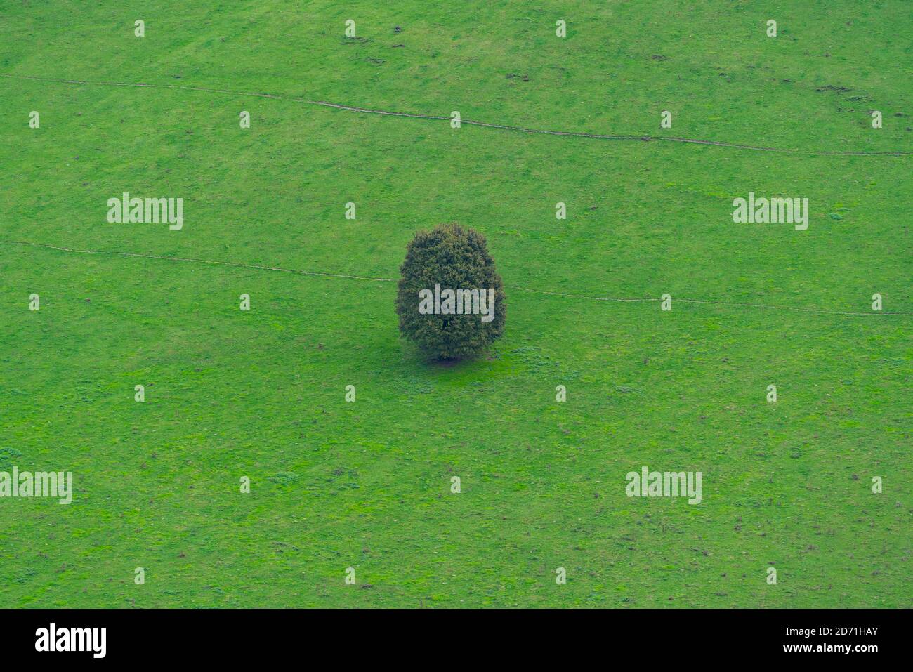 Countryside in the Angulo Valley of the Mena Valley in the Merindades ...