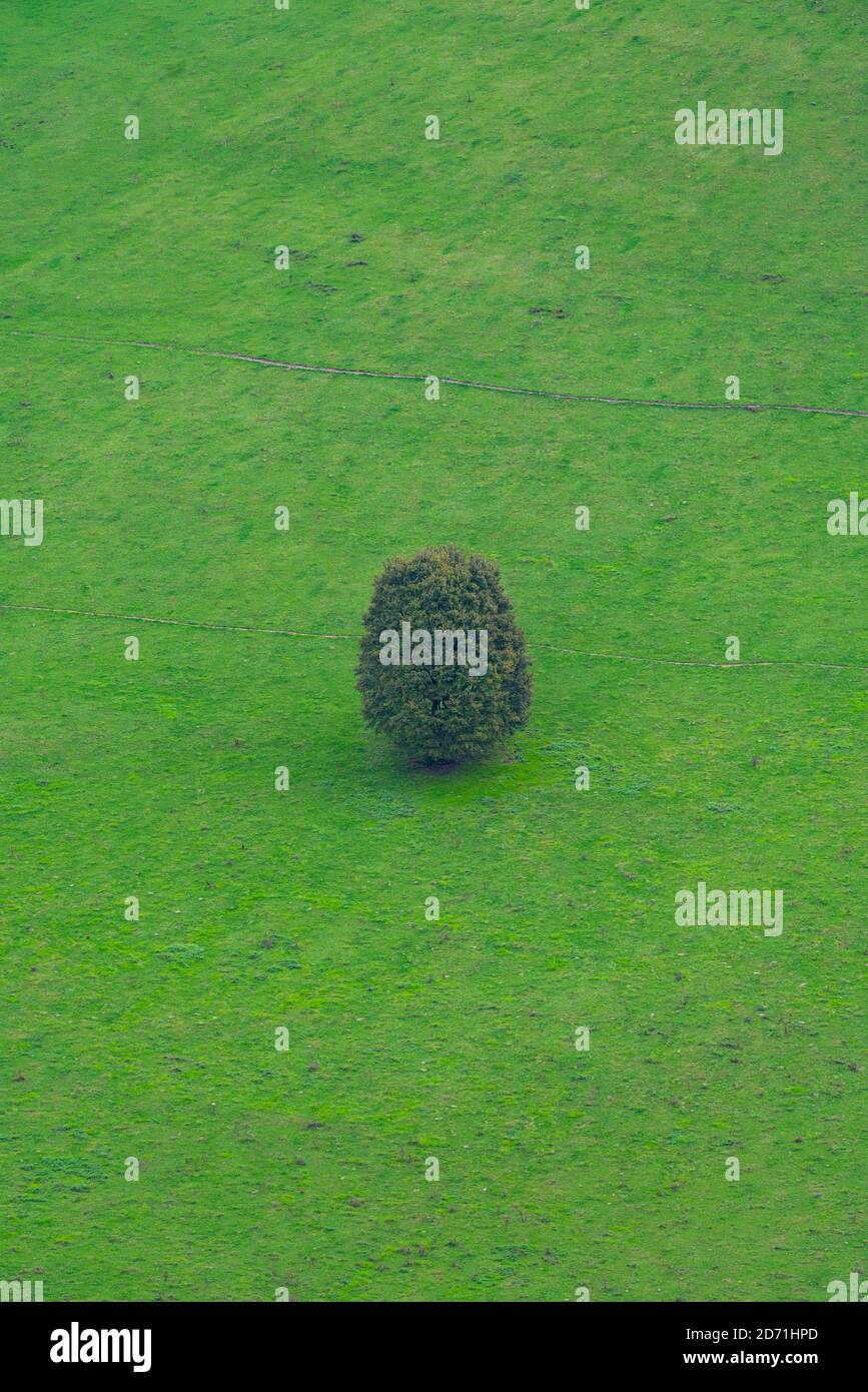 Countryside in the Angulo Valley of the Mena Valley in the Merindades ...
