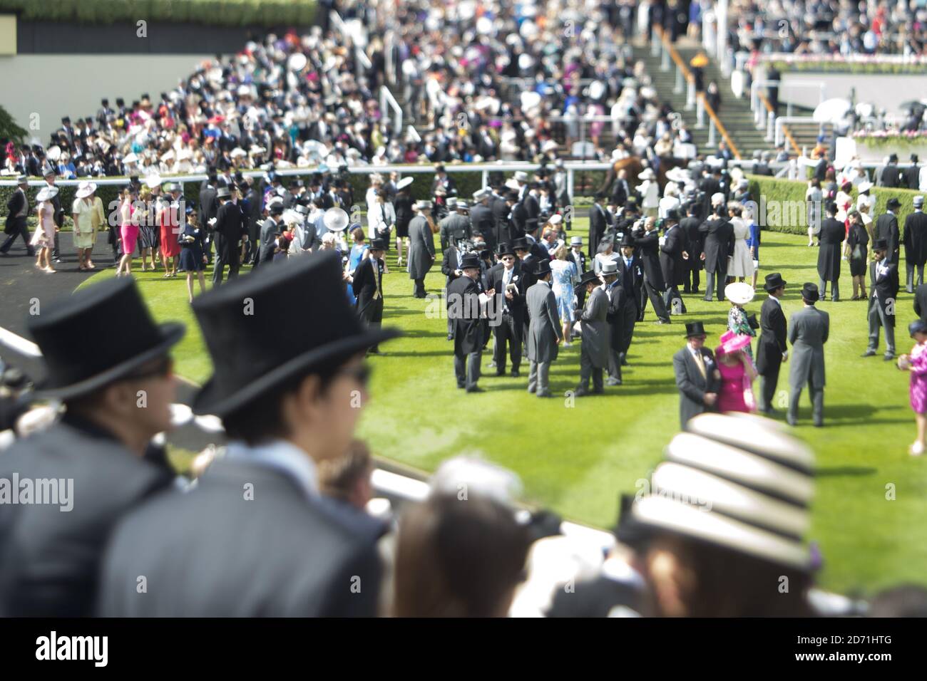 Parade ring ascot hi-res stock photography and images - Alamy