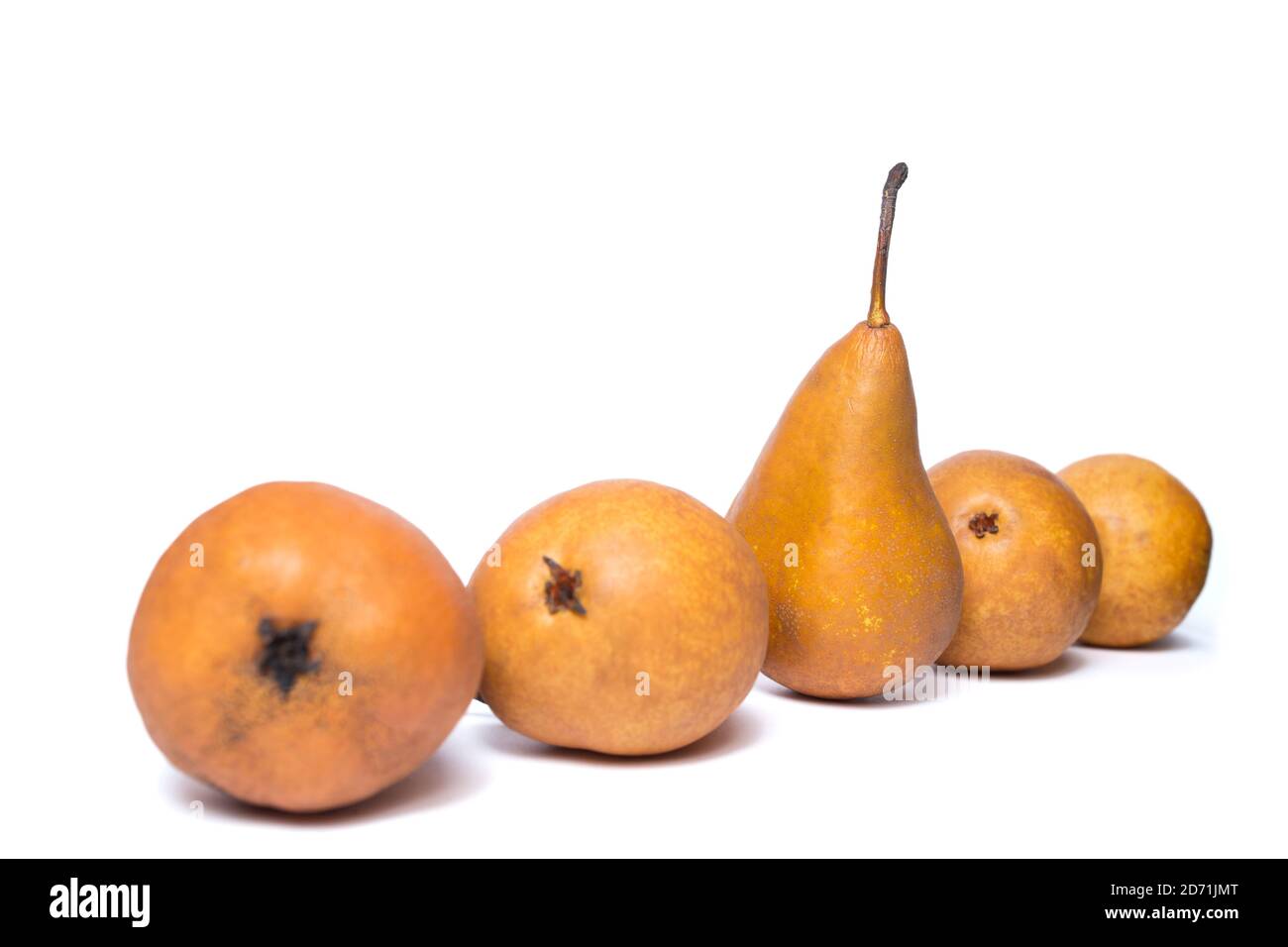 Five ripe yellow pears on a line isolated on a white Stock Photo - Alamy