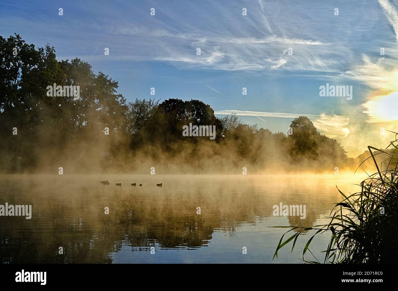 Am teltowkanal hi-res stock photography and images - Alamy