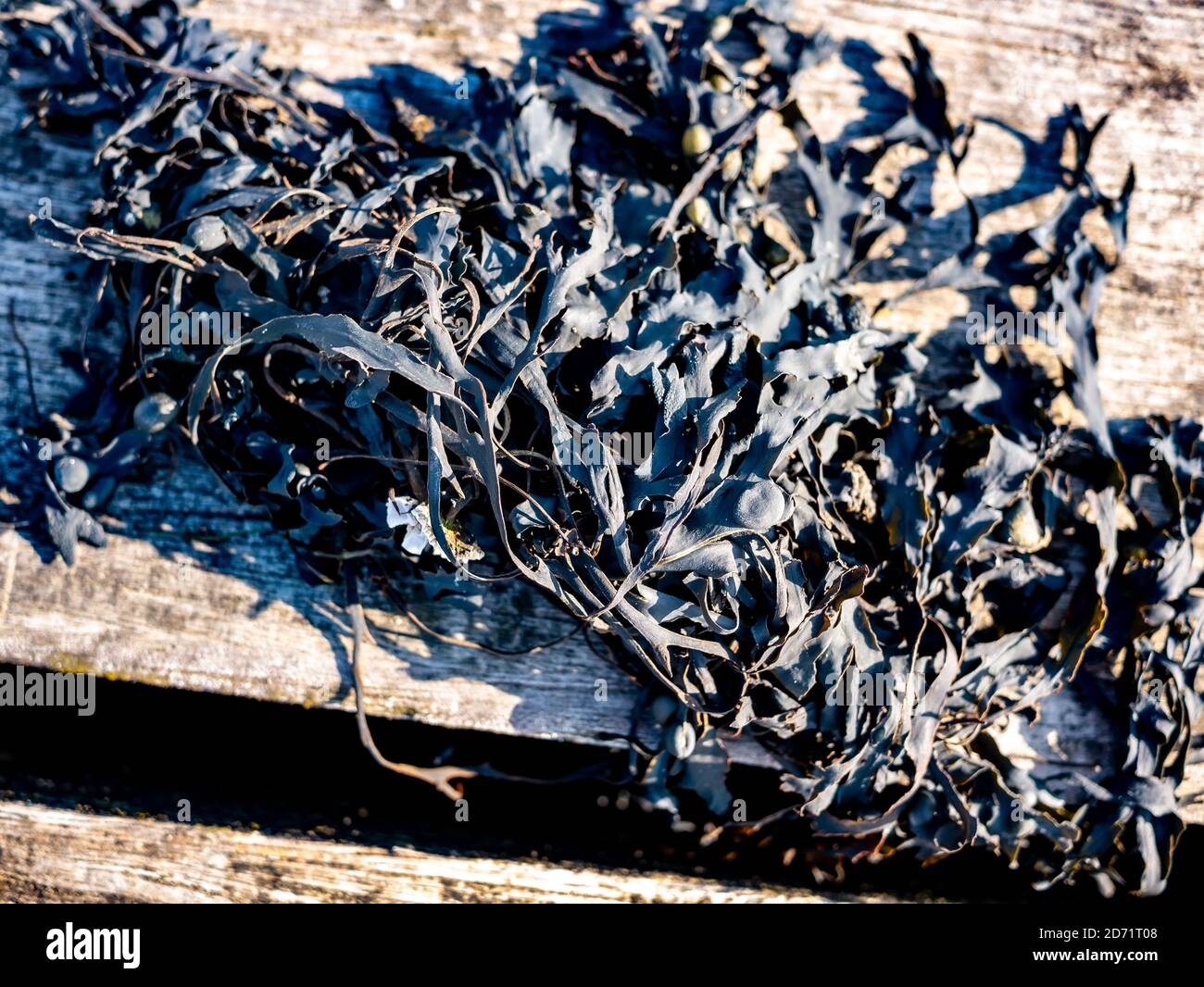 Seaside cut out hi-res stock photography and images - Alamy