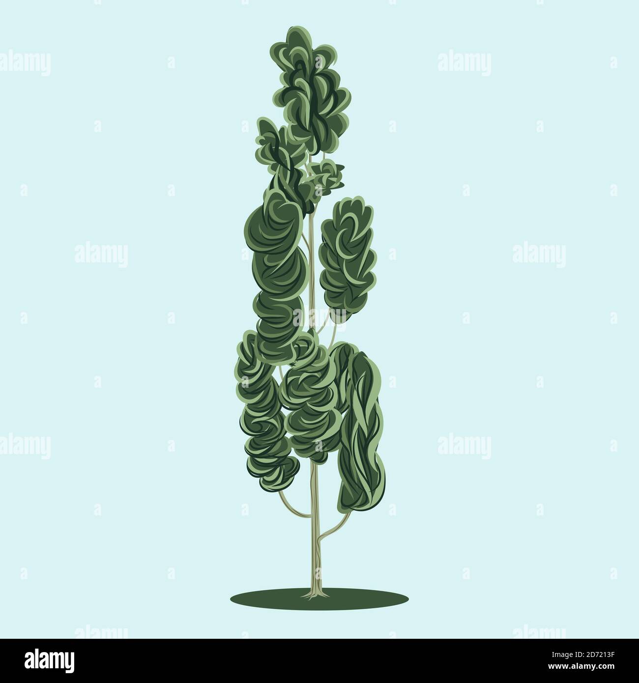 Vector poplar tree with natural leaves shades isolated on light blue ...