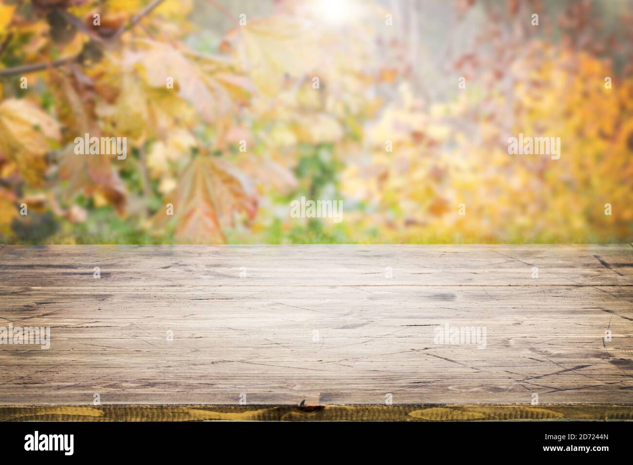 Autumn garden festive table hi-res stock photography and images - Alamy