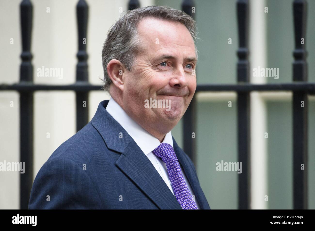 Liam fox house of commons hi-res stock photography and images - Alamy