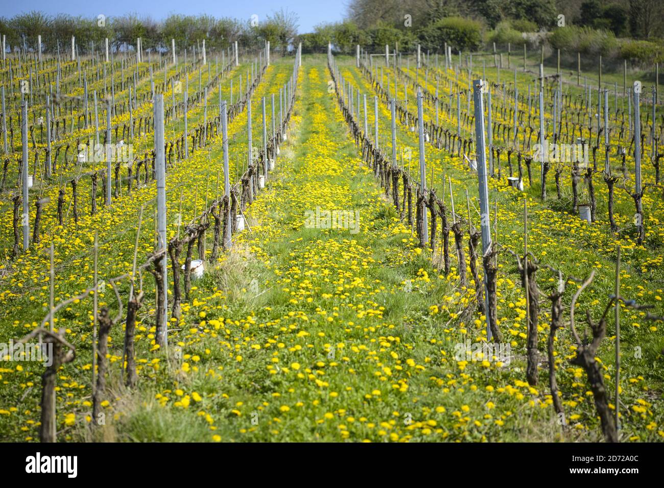 Leckford estate john lewis hi-res stock photography and images - Alamy