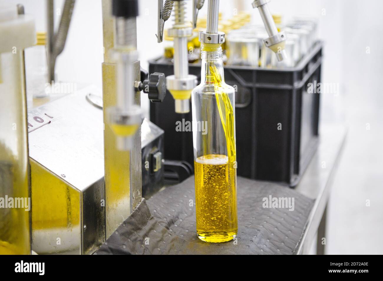 Rapeseed oil is bottled by hand, on the Waitrose Leckford Estate in ...