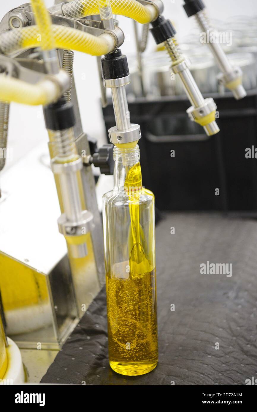 Rapeseed oil is bottled by hand, on the Waitrose Leckford Estate in ...