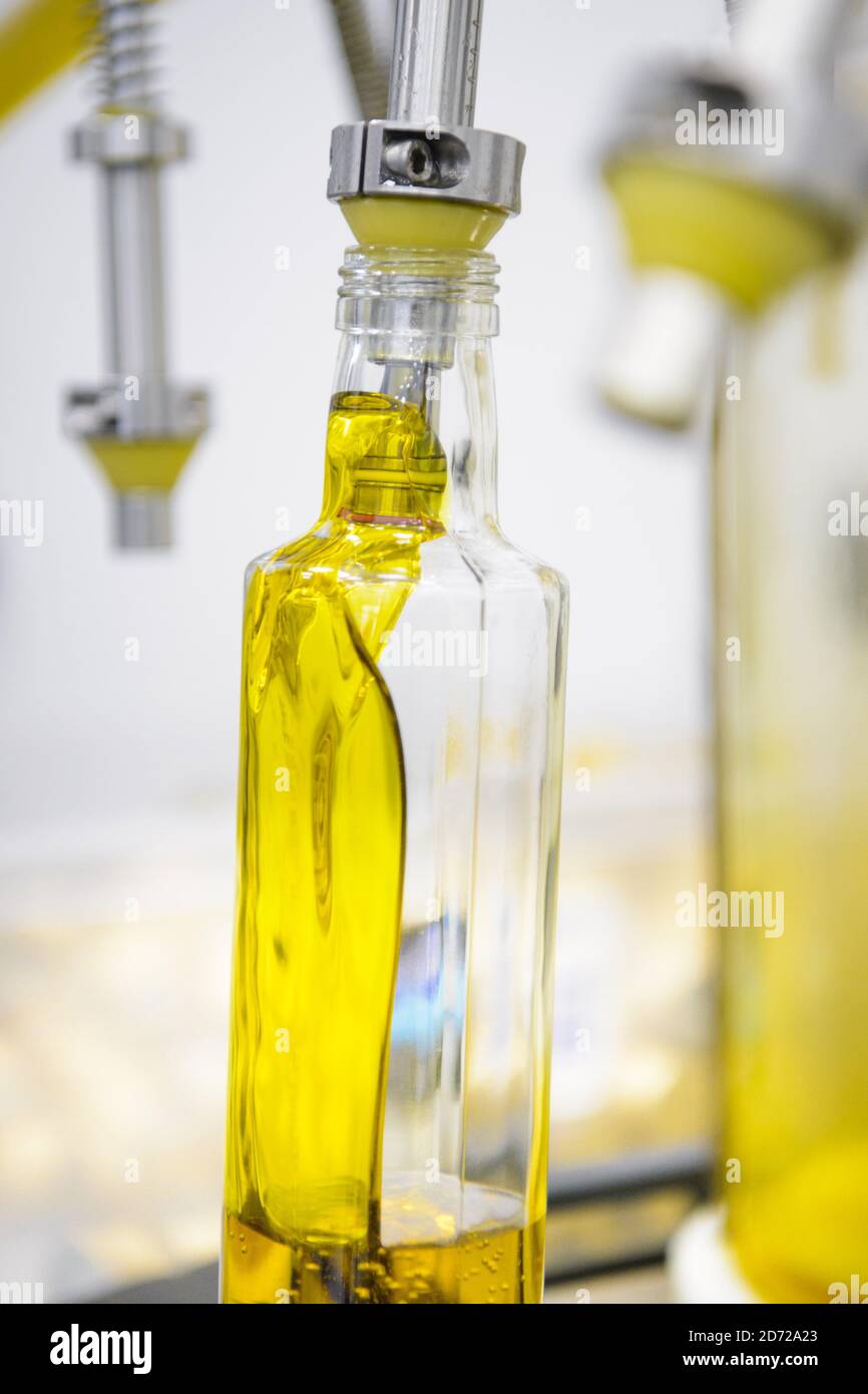 Rapeseed oil is bottled by hand, on the Waitrose Leckford Estate in ...