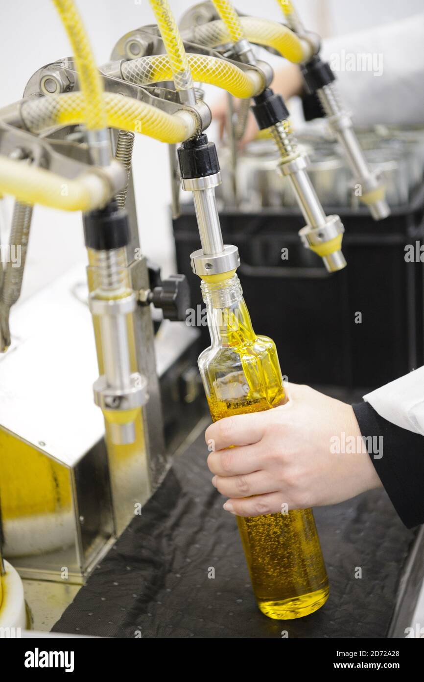 Rapeseed oil is bottled by hand, on the Waitrose Leckford Estate in ...