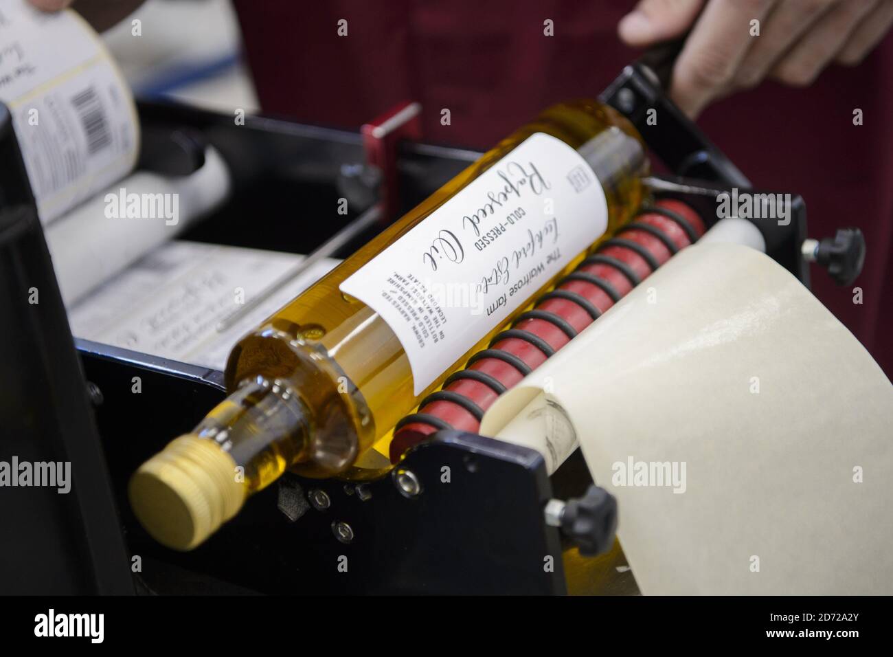 Rapeseed oil bottles are labeled by hand, on the Waitrose Leckford ...