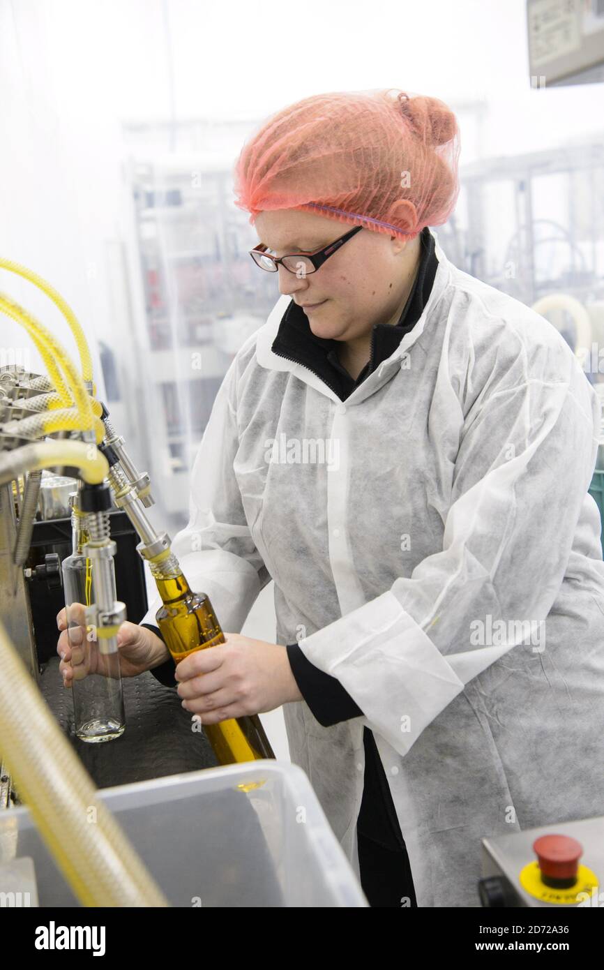 Rapeseed oil is bottled by hand, on the Waitrose Leckford Estate in ...