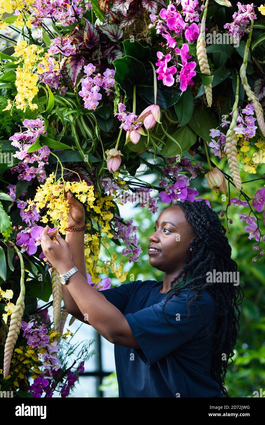 Rollock hi-res stock photography and images - Alamy